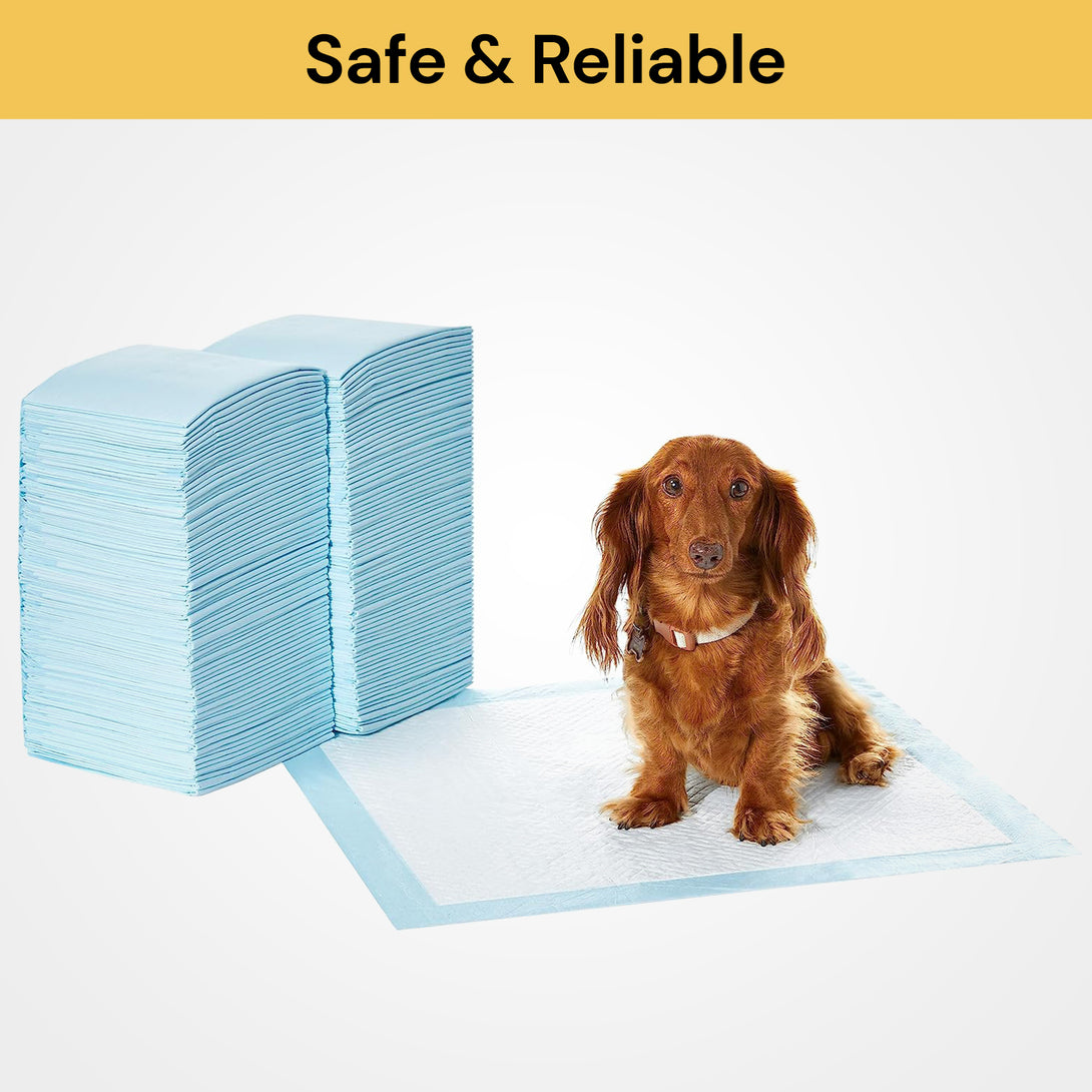 Pet Toilet Training Pads | Pet Toilet Paper
