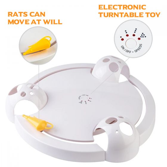 Interactive Cat Toy with Rotating Mouse Track