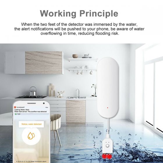 Wifi Water Leakage Detector Water Leak Sensor
